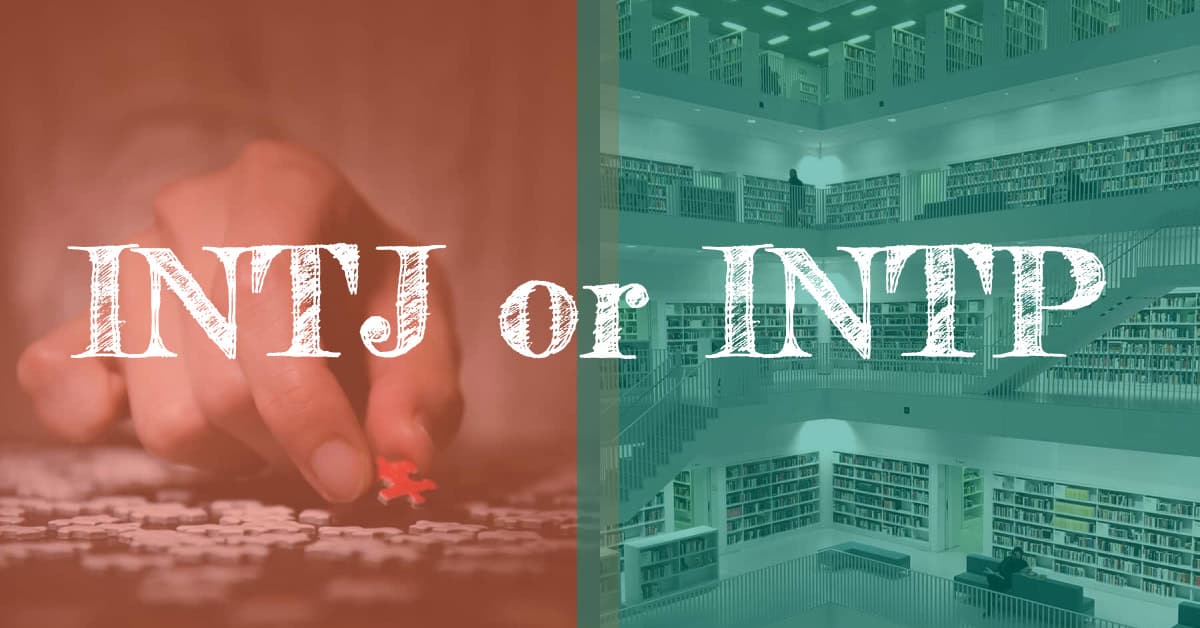 INTJ or INTP? - Michael Caloz Coaching